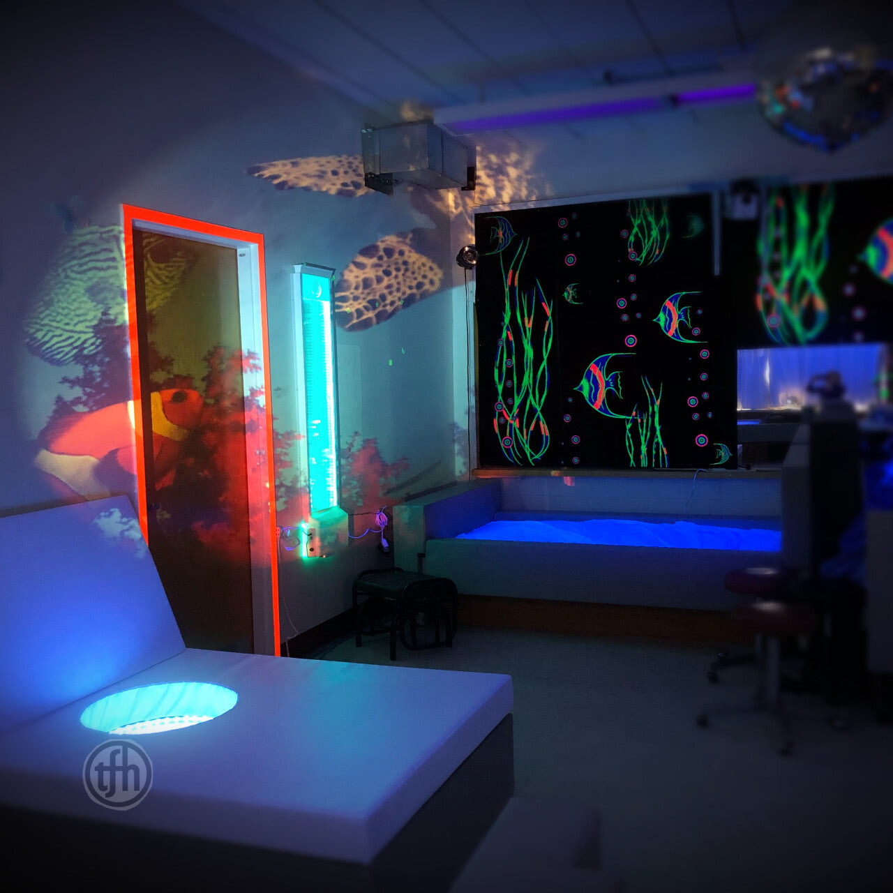 UV Carpet - Imagine and Learn